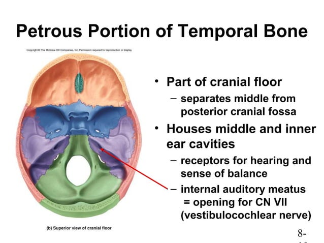 Chap08 powerpoint GCU | PPT