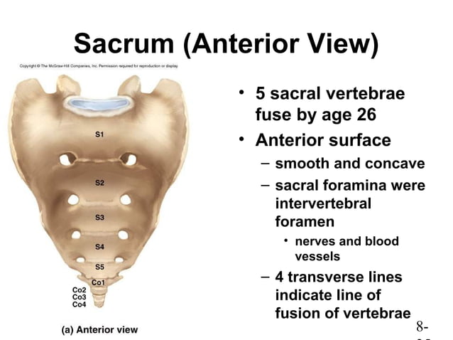 Chap08 powerpoint GCU | PPT