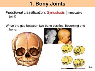 Chap09 Joints | PPT
