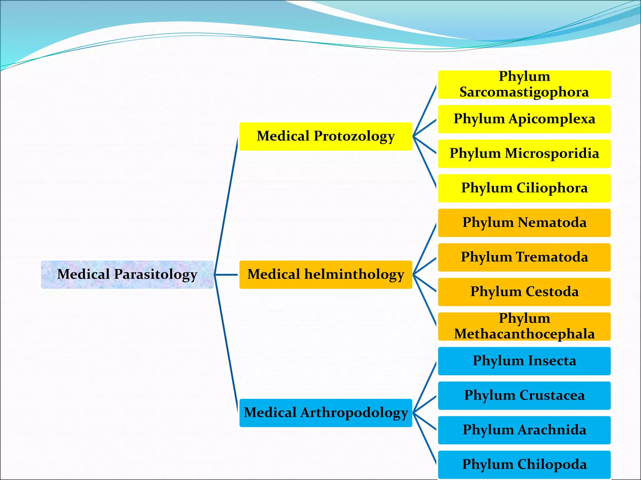 parasitology Introduction.ppt