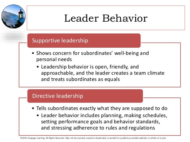 The Leadership Experience
