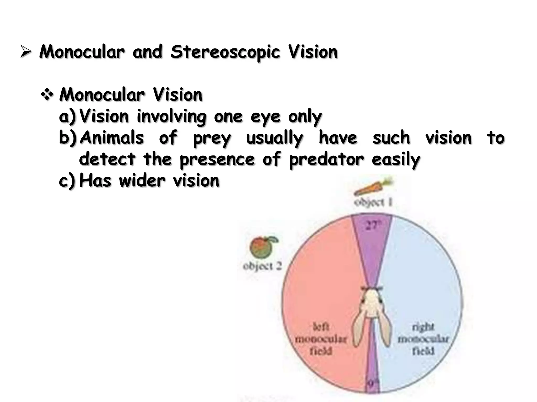 Chap 1.8 and 9 | PPTX