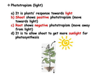 Chap 1.8 and 9 | PPTX