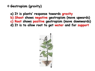 Chap 1.8 and 9 | PPTX