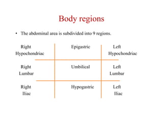 Chap1 anatomical terminology | PDF