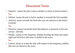 Chap1 anatomical terminology | PDF