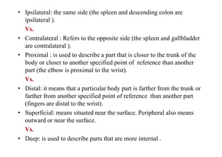 Chap1 anatomical terminology | PDF