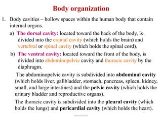 Chap1- Anatomical Terminology.pdf