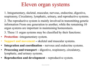 Chap1- Anatomical Terminology.pdf