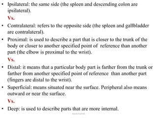 Chap1- Anatomical Terminology.pdf