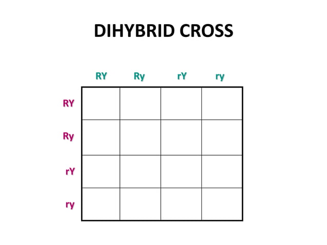 MIC150 - Chap 1 Mendelian Genetics | PPT | Free Download