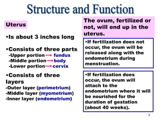 chap10.ppt