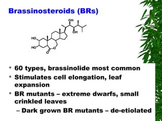 Chap11 hormones | PPT