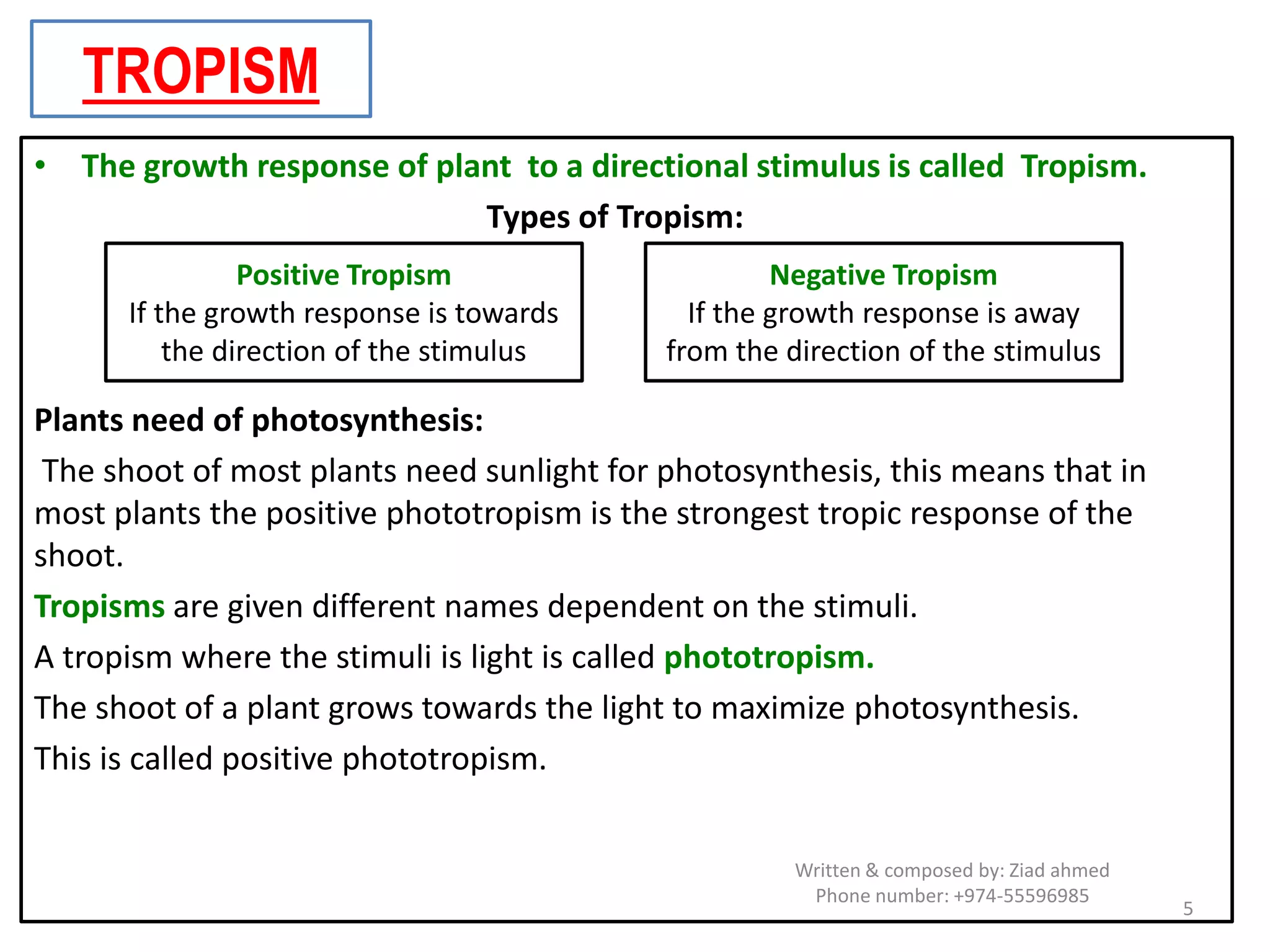 IGCSE Biology Chap 12 chemical coordination in plants | PDF | Gardening ...