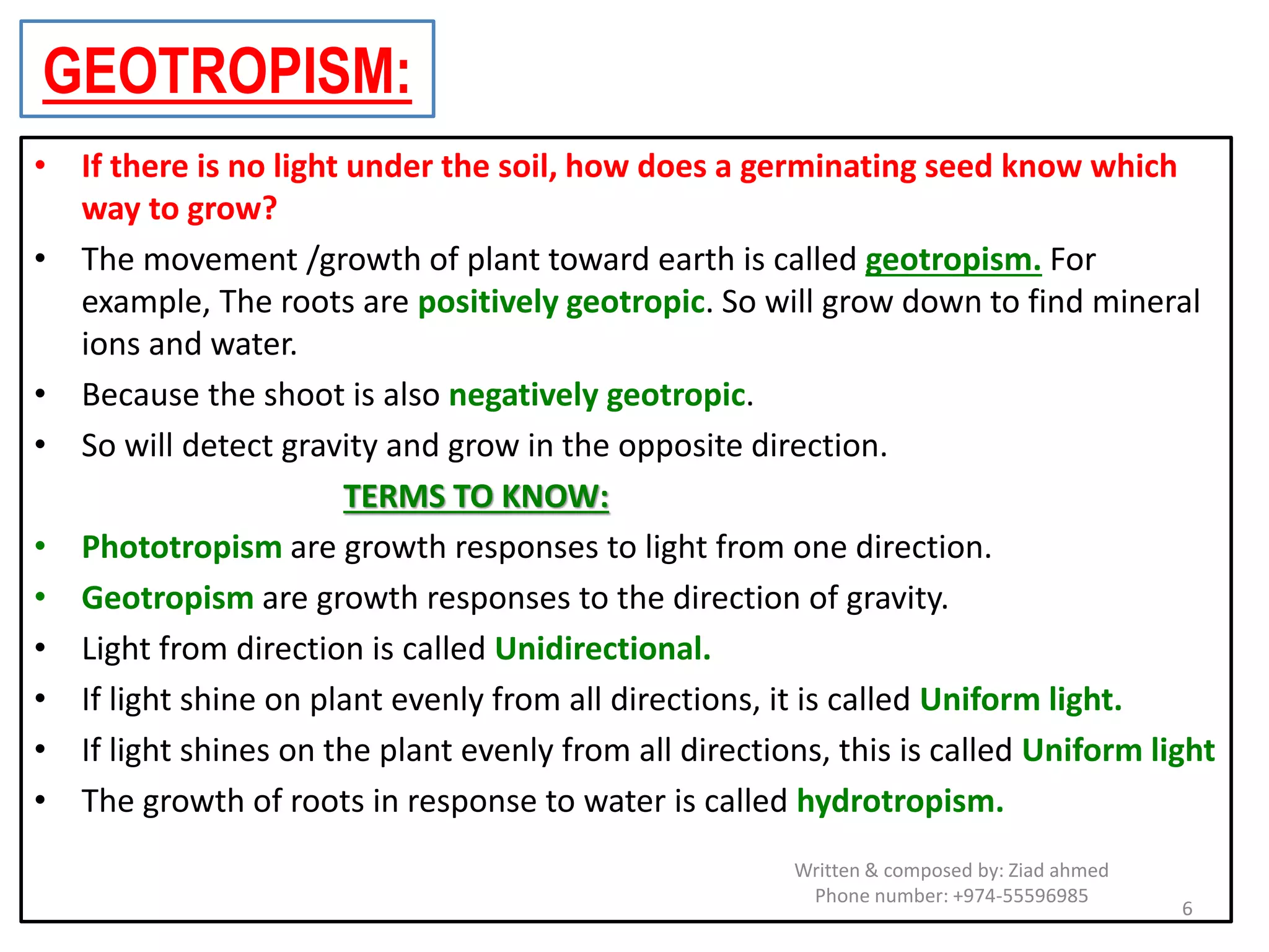 IGCSE Biology Chap 12 chemical coordination in plants | PDF
