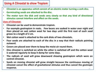 IGCSE Biology Chap 12 chemical coordination in plants | PDF