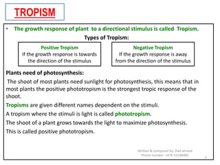 IGCSE Biology Chap 12 chemical coordination in plants | PDF