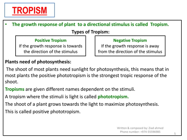 IGCSE Biology Chap 12 chemical coordination in plants | PPT