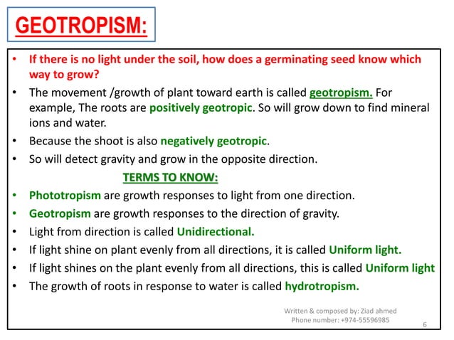 IGCSE Biology Chap 12 chemical coordination in plants | PDF | Gardening ...