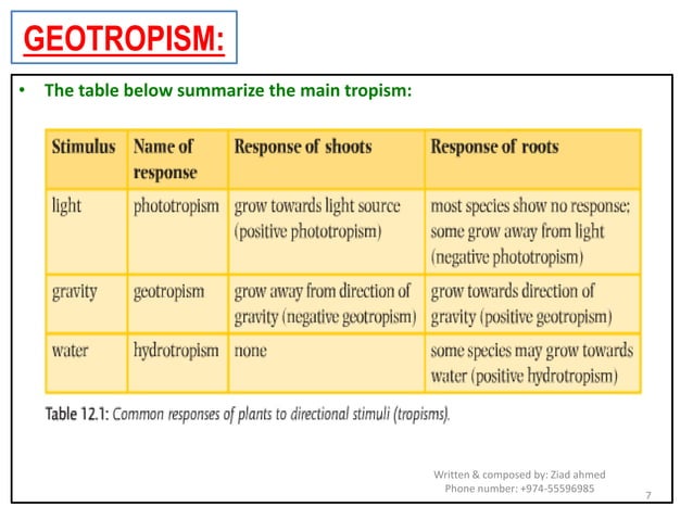 IGCSE Biology Chap 12 chemical coordination in plants | PDF | Gardening ...
