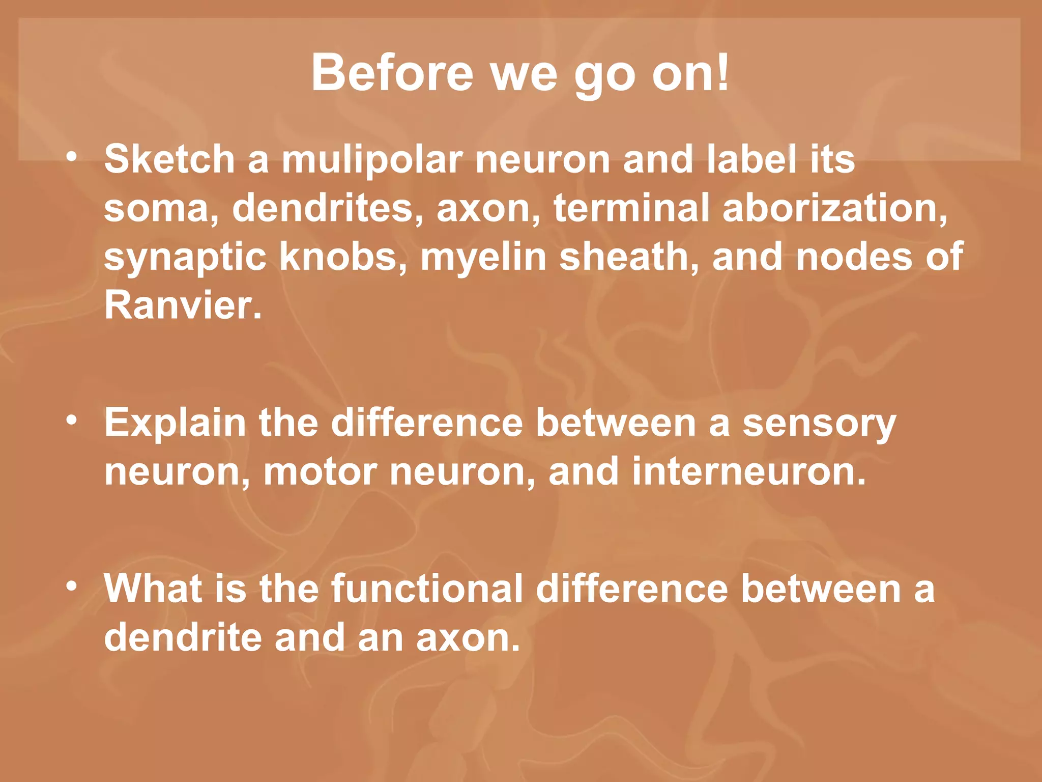 Chap12 powerpoint ppt | PPT