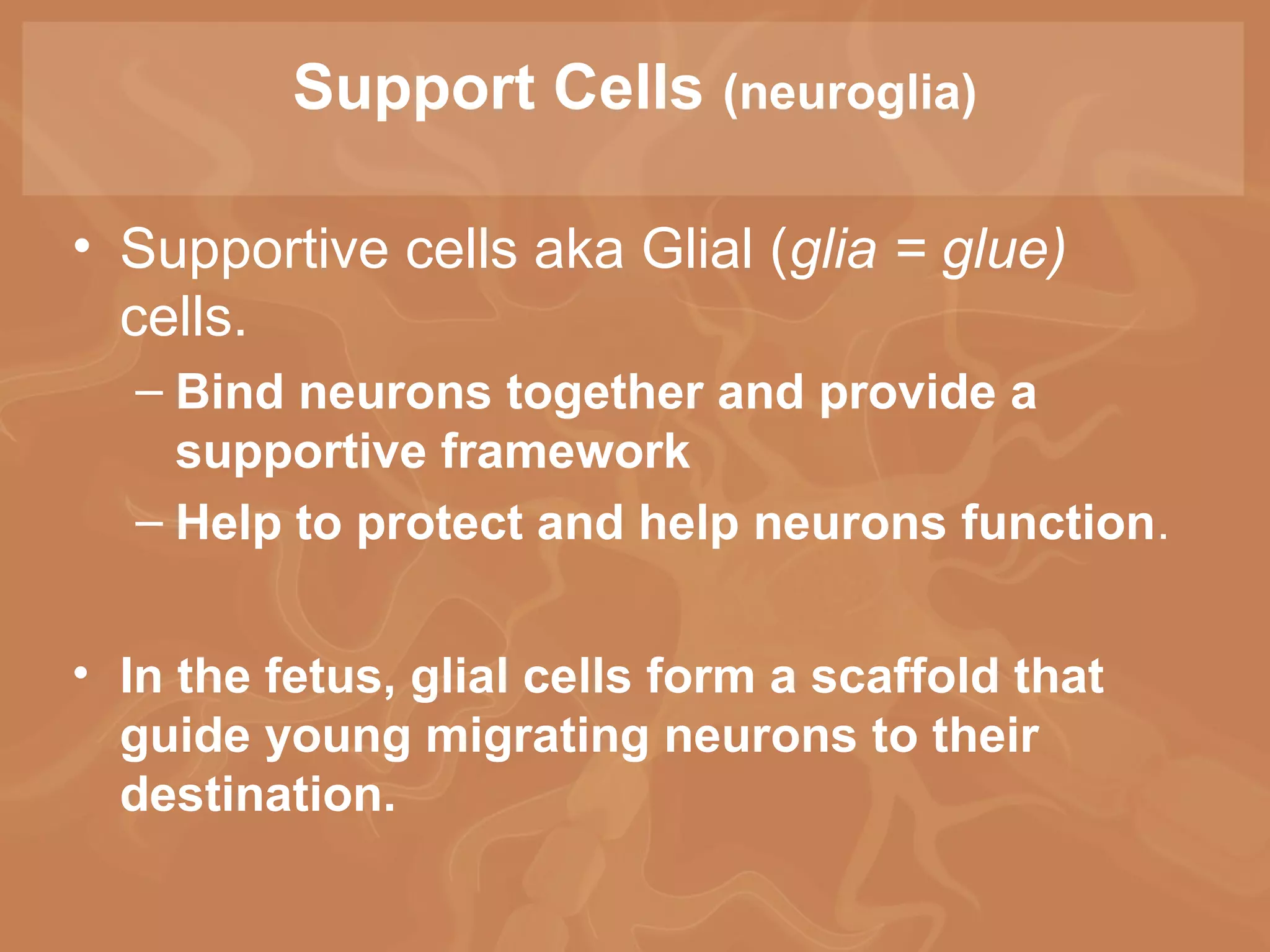 Chap12 powerpoint ppt | PPT