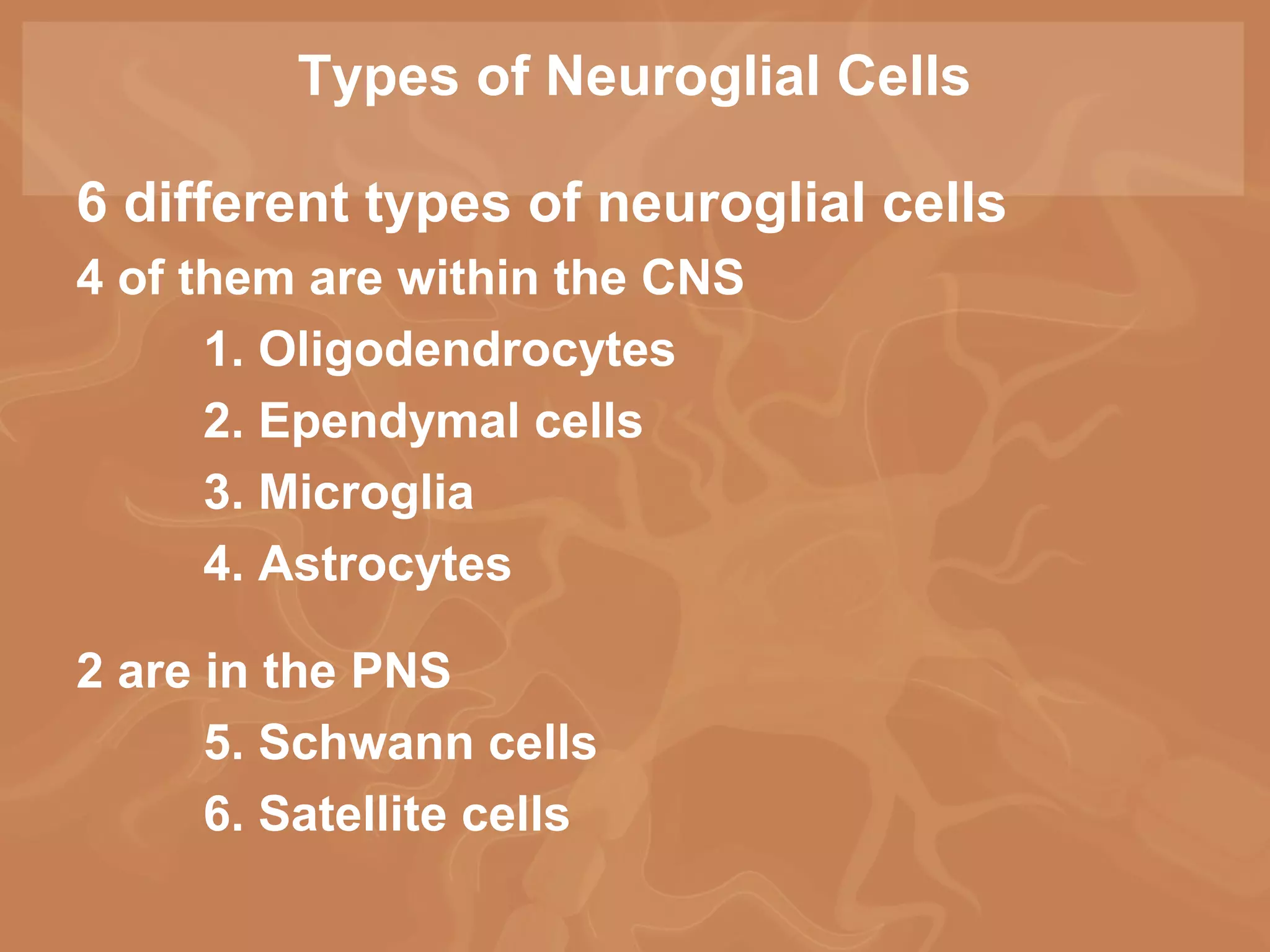 Chap12 powerpoint ppt | PPT