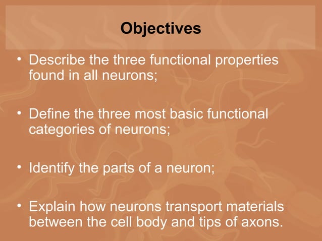 Chap12 powerpoint ppt | PPT