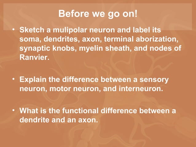 Chap12 powerpoint ppt | PPT