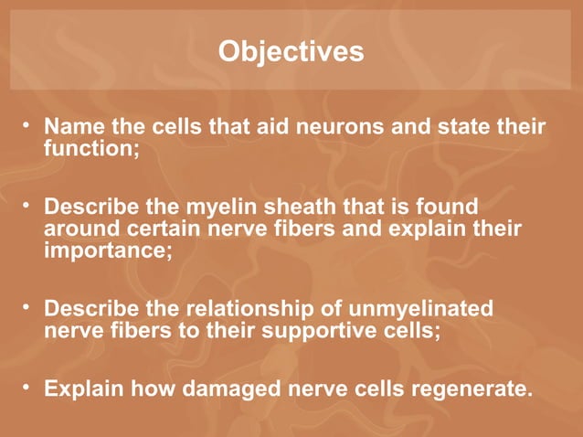 Chap12 powerpoint ppt | PPT