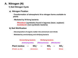 Plant Nutrients | PPT