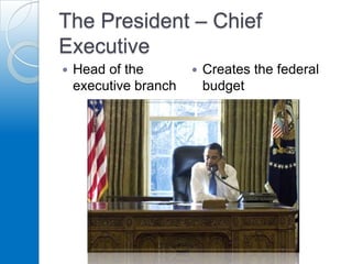 Chap 13. the executive branch | PPTX | Political Issues & policy | Politics