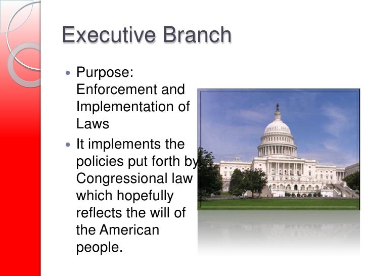 Chap 13. the executive branch