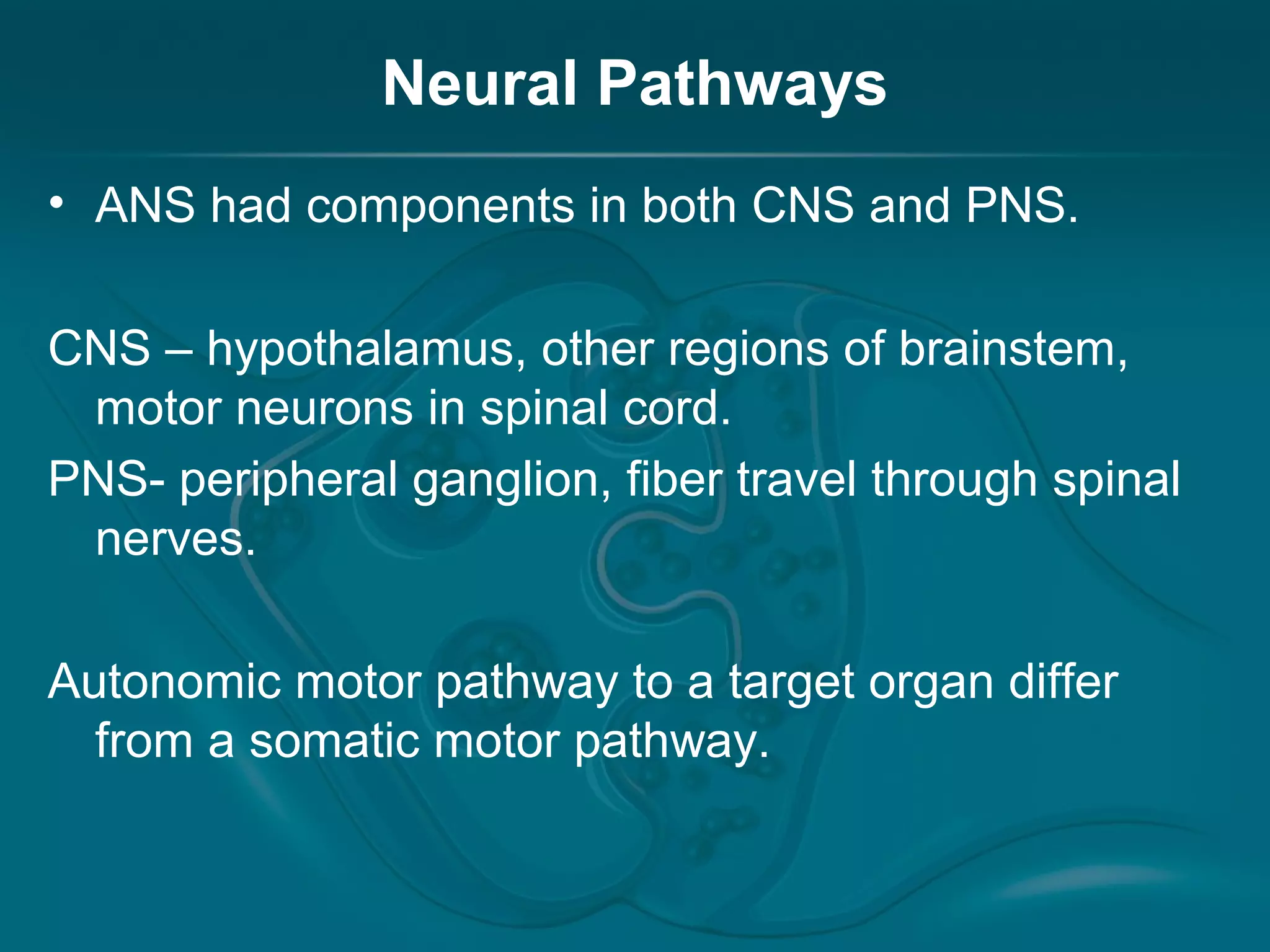 Chap15 powerpoint ANS VSR | PPT | Brain and Nervous System Disorders | Diseases and Conditions
