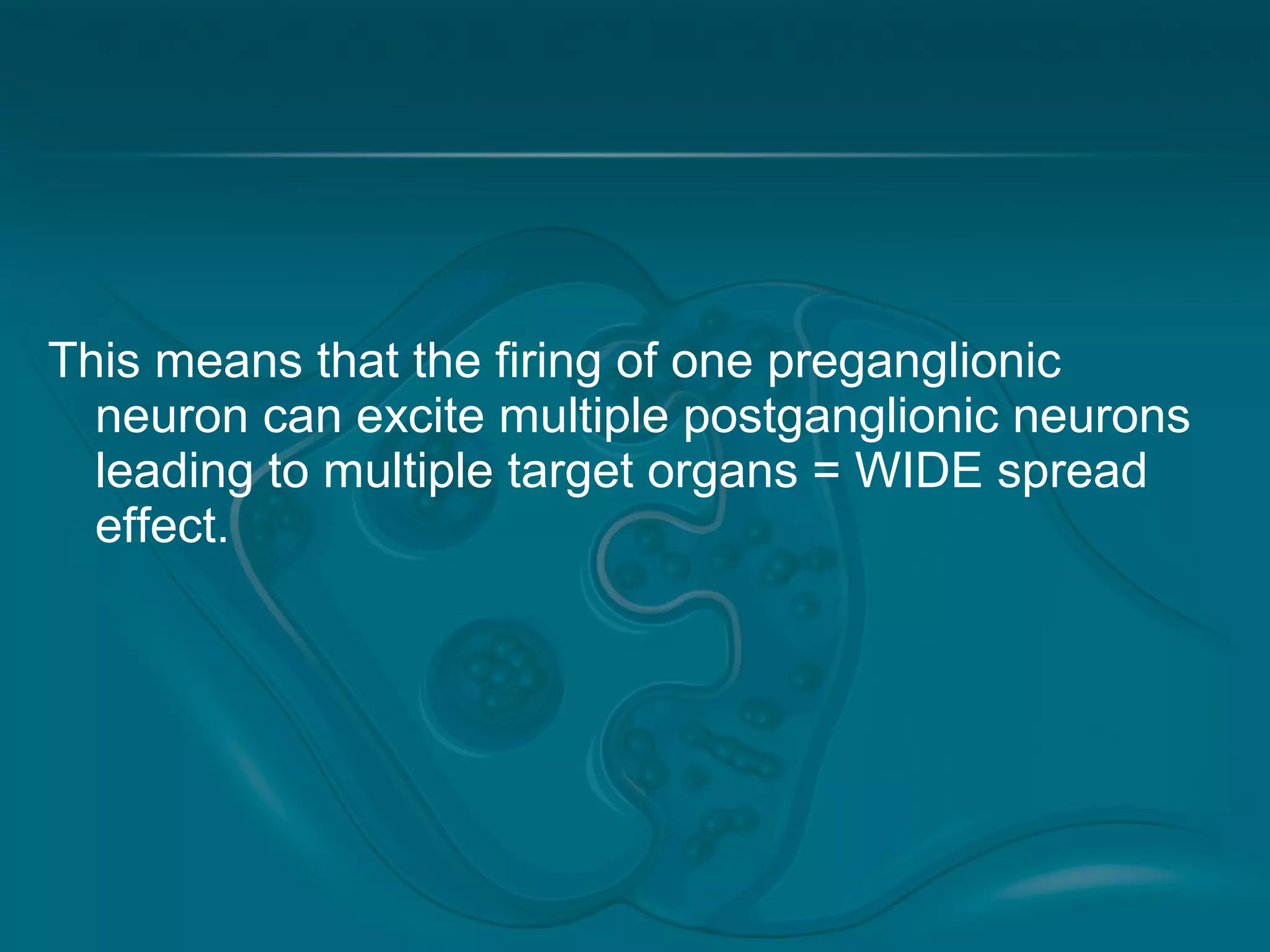 Chap15 powerpoint ANS VSR | PPT | Brain and Nervous System Disorders | Diseases and Conditions