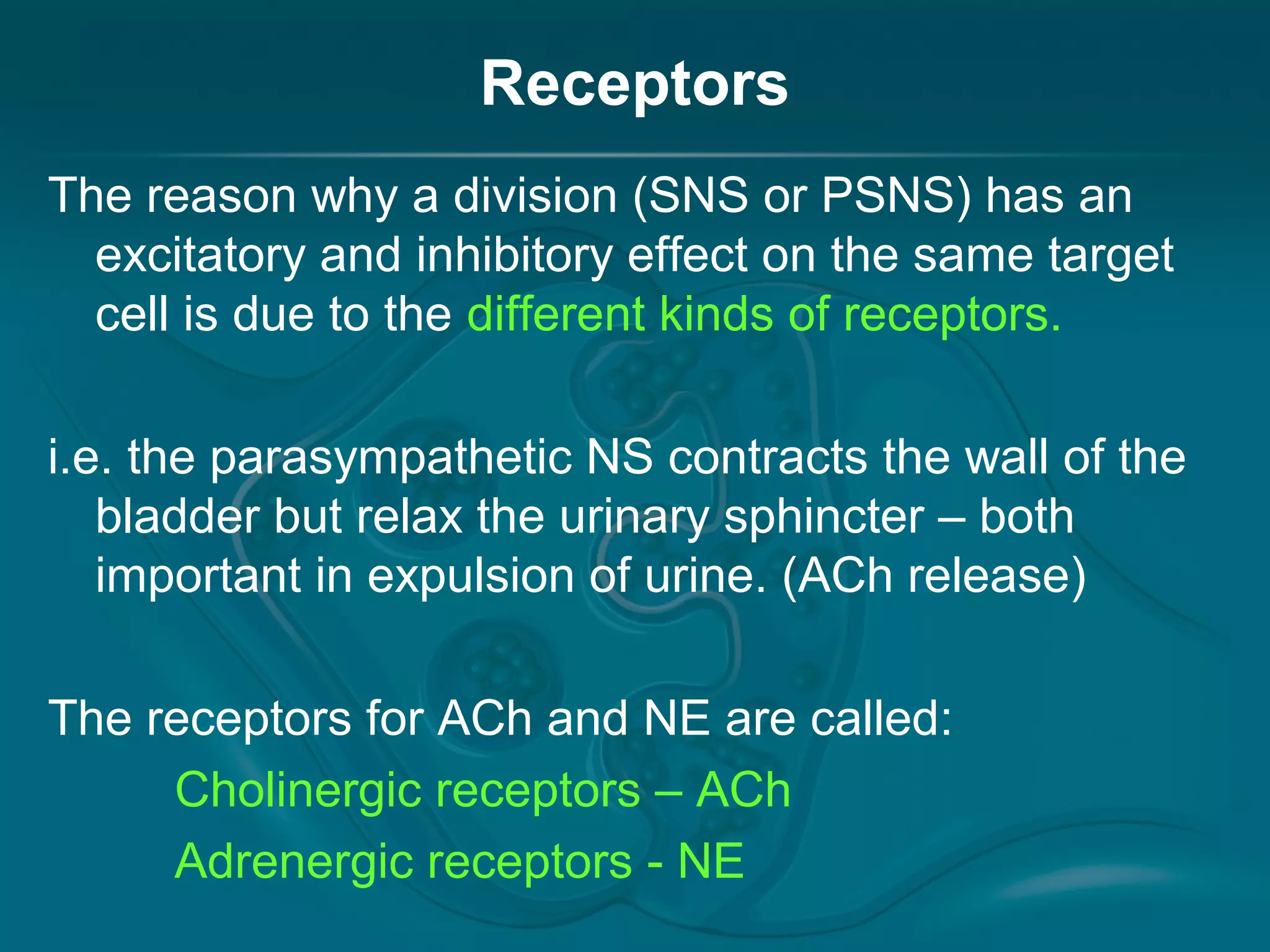 Chap15 powerpoint ANS VSR | PPT