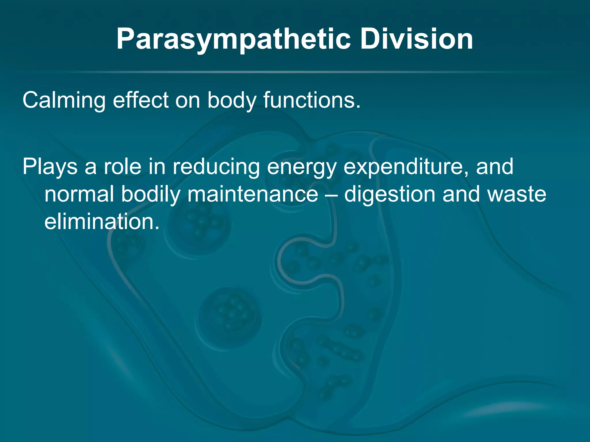 Chap15 powerpoint ANS VSR | PPT | Brain and Nervous System Disorders | Diseases and Conditions