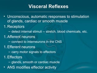 Chap15 powerpoint ANS VSR | PPT