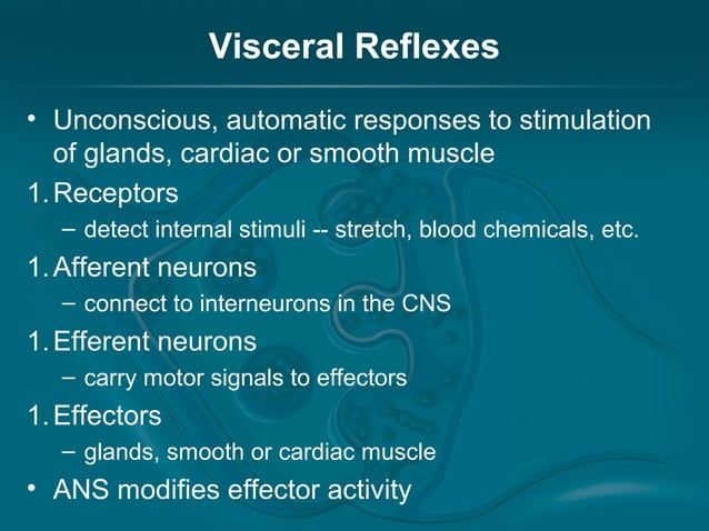 Chap15 powerpoint ANS VSR | PPT