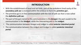Chap 16.pptx english chapter for students | PPTX