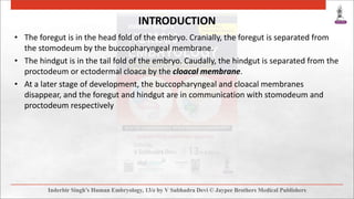 Chap 16.pptx english chapter for students | PPT