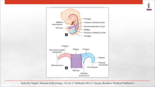 Chap 16.pptx english chapter for students | PPT