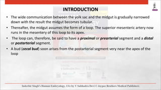 Chap 16.pptx english chapter for students | PPTX