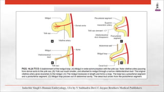 Chap 16.pptx english chapter for students | PPT