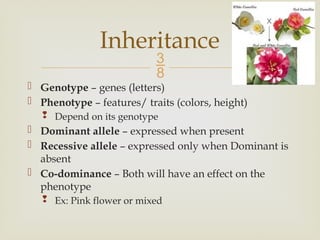 Chap 16- Inheritance for High School Class | PPTX