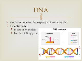 Chap 16- Inheritance for High School Class | PPT