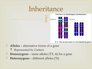 Chap 16- Inheritance for High School Class | PPT