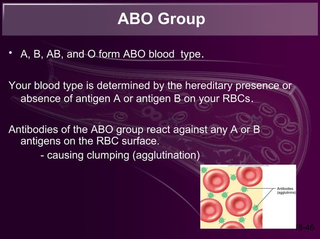 Chap18 blood | PPT