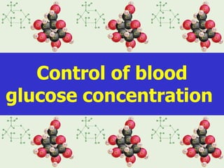 Chap 19 blood glucose regulation | PPT