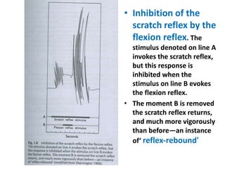 Evolution Of Behaviour | PPTX